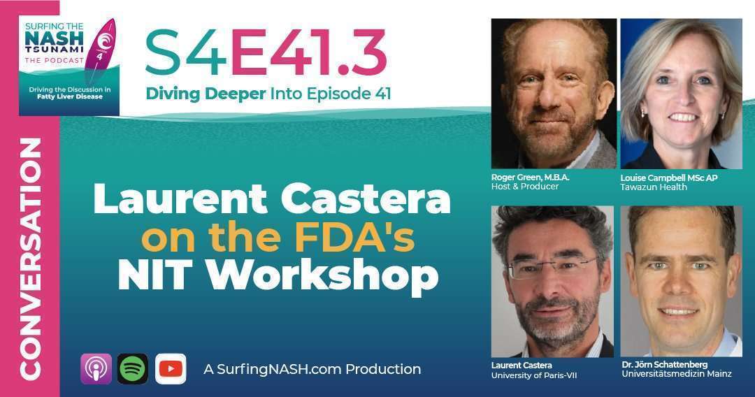 S4-41.3 - Laurent Castera on the FDA's NIT Workshop - The MASH Podcast ...