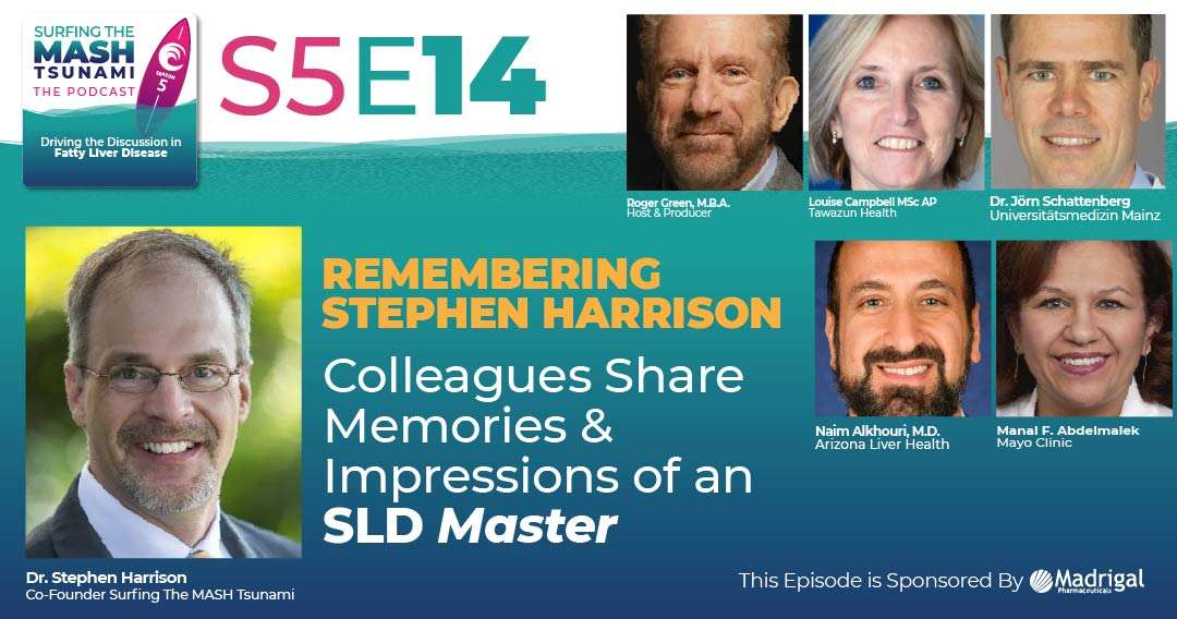 S5 - E14 - Remembering Stephen Harrison: Colleagues Share Memories & Impressions of an SLD ...